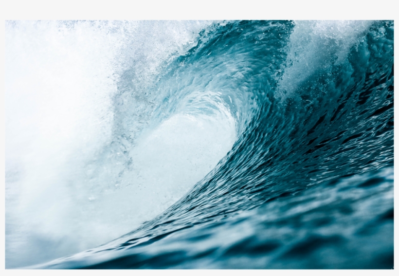 Download 50029 Catch A Wave - Wallpaper | Transparent PNG Download ...