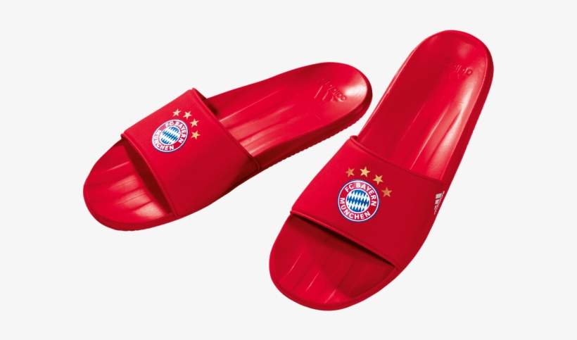 Slipper PNG Image | Transparent PNG Free Download on SeekPNG