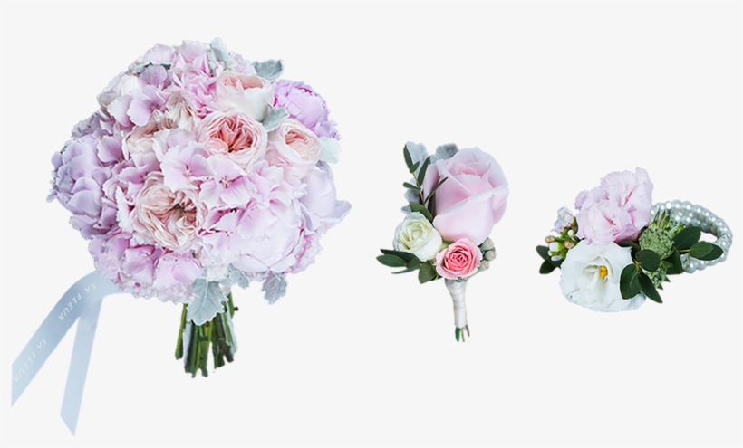 Pastel Blanc Package PNG Image | Transparent PNG Free Download on SeekPNG