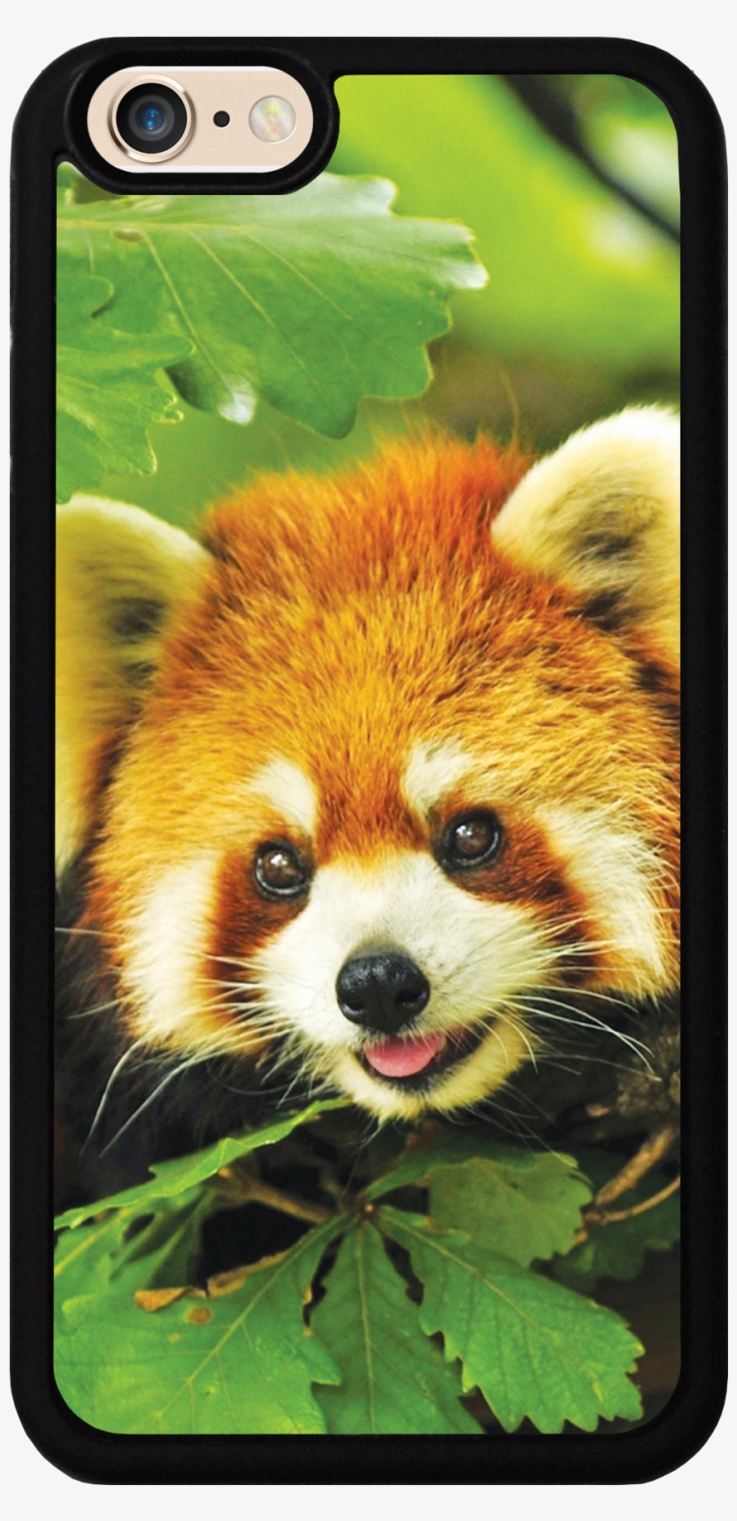 Red Panda Cute For Ipad - Cute Animals In Asia PNG Image | Transparent ...