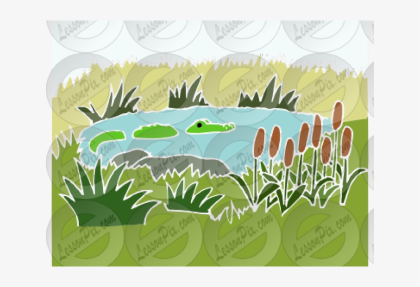 Swamp Clipart Transparent - Illustration PNG Image | Transparent PNG ...