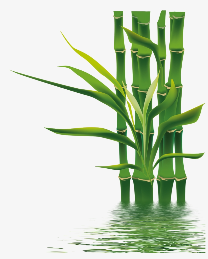 Bamboo Png - Transparent Transparent Background Bamboo PNG Image ...