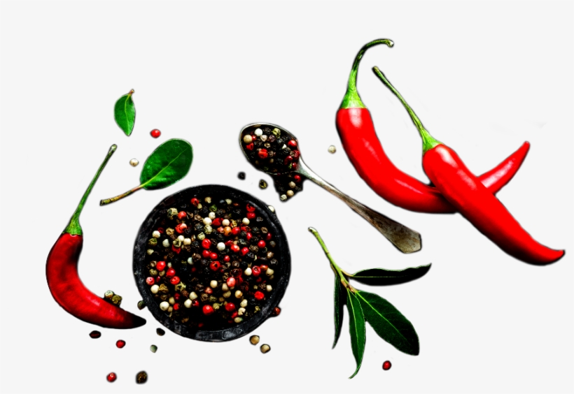 Download Taste The Difference | Transparent PNG Download | SeekPNG