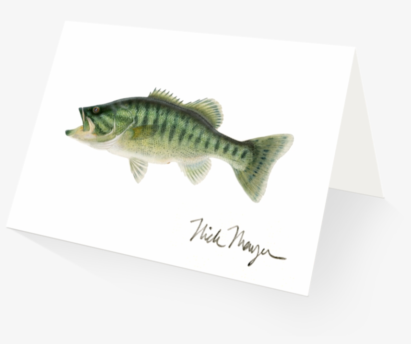 Sign Up And Get 10% Off - Perch PNG Image | Transparent PNG Free ...
