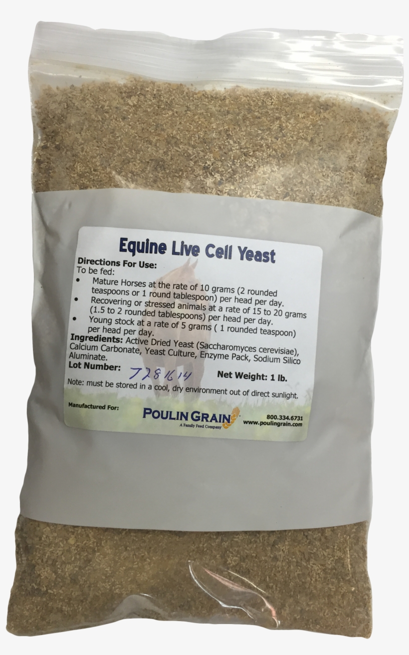 No Image - Emmer PNG Image | Transparent PNG Free Download on SeekPNG