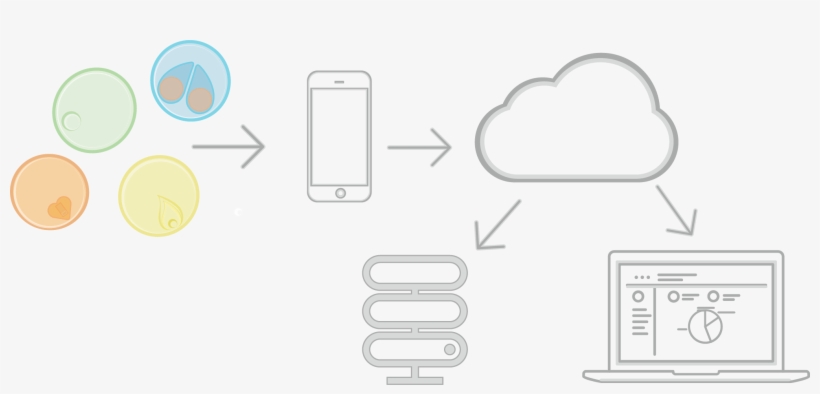 Flow Web - Diagram PNG Image | Transparent PNG Free Download on SeekPNG