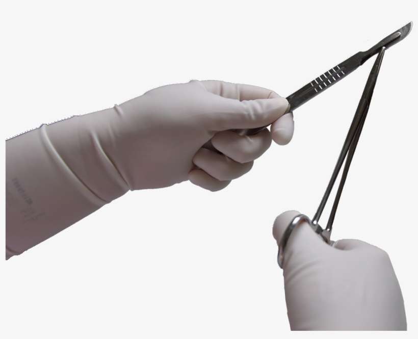 Removescalpel - Kokyu PNG Image | Transparent PNG Free Download on SeekPNG
