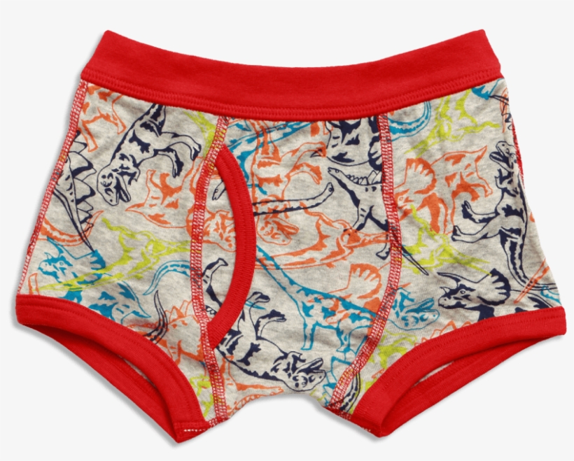 Briefs PNG Image | Transparent PNG Free Download on SeekPNG