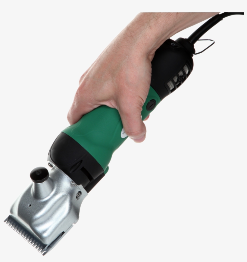 Sander PNG Image | Transparent PNG Free Download on SeekPNG