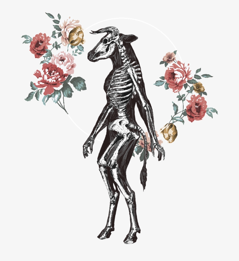 Download Gatekeeper - Illustration | Transparent PNG Download | SeekPNG