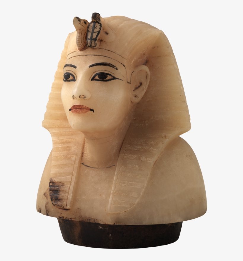 Bust PNG Image | Transparent PNG Free Download on SeekPNG