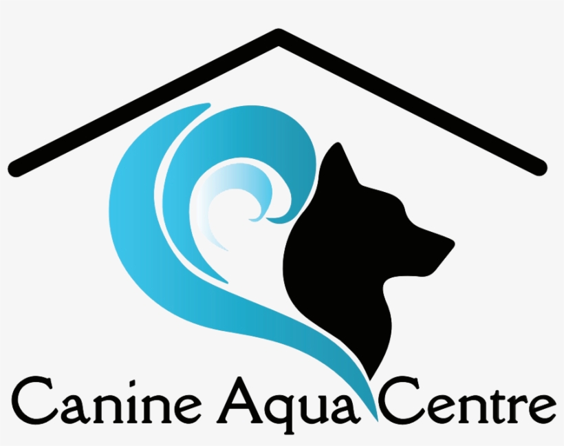 Cac Logo Sml Bg PNG Image | Transparent PNG Free Download on SeekPNG