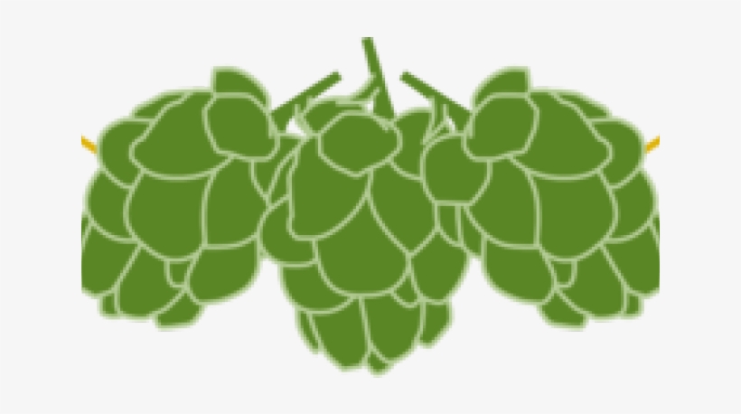 Houblon Png PNG Image | Transparent PNG Free Download on SeekPNG