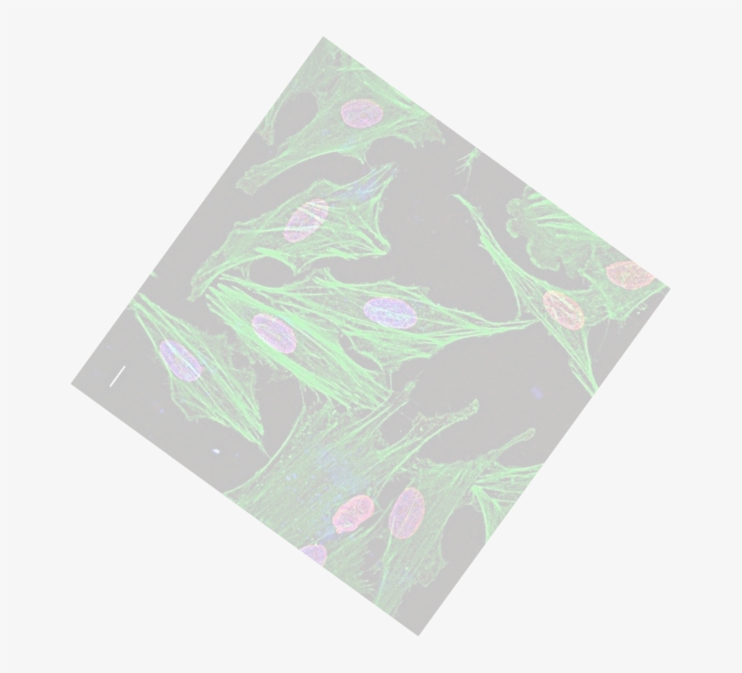 Pradhan R, Ranade D And Sengupta K - Placemat PNG Image | Transparent ...