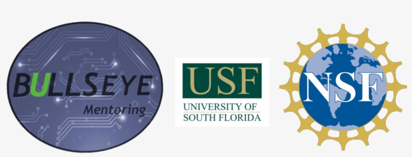 Bullseye Mentoring Program - National Science Foundation PNG Image ...