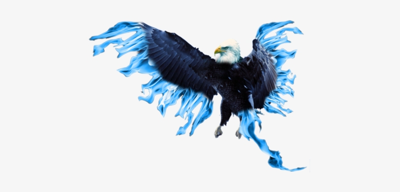 Blue Phoenix Transparent Png - 5d Diy Diamond Painting Animal Kits ...