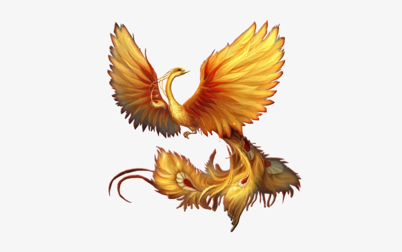 Download Phoenix Bird | Transparent PNG Download | SeekPNG