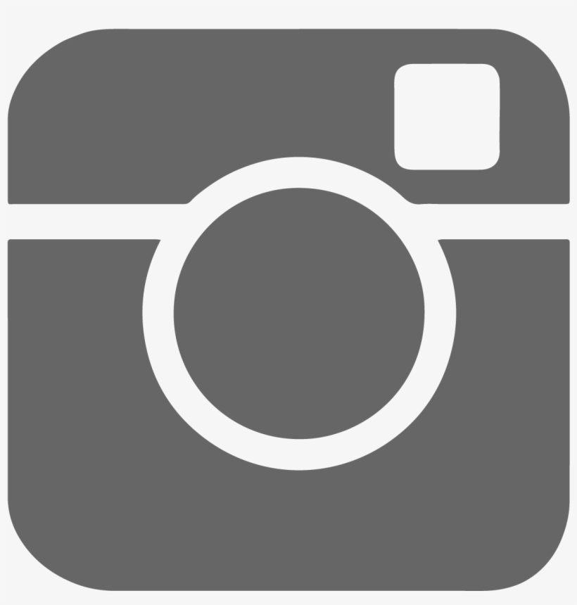Download Instagram Logo Png - Instagram Icon Grey Png | Transparent PNG ...