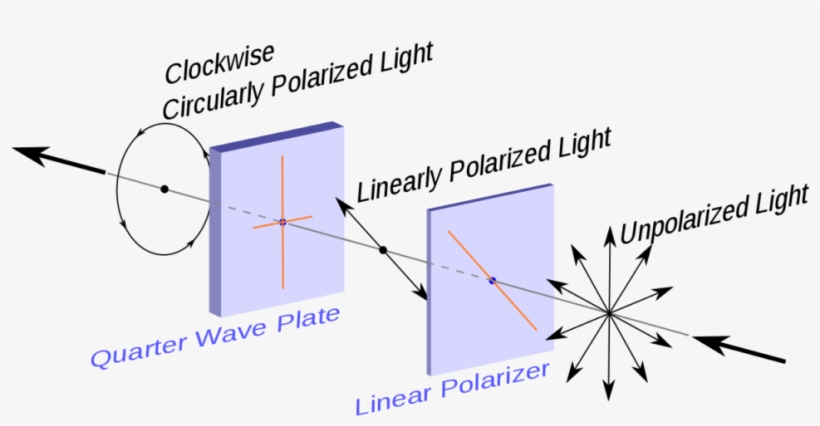For Example We Install Polarized Lenses Or Filters - Generate ...