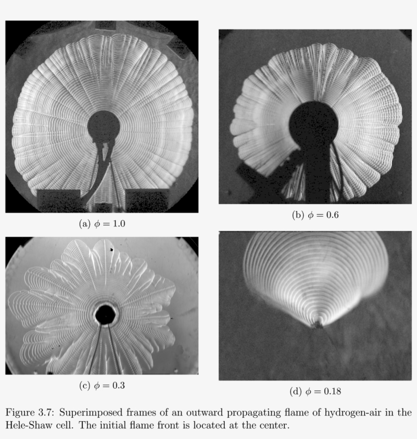 A Shock Can Be Generated At The Center Of The Cell PNG Image ...