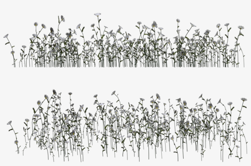 Flowers 18 By Wolverine041269 Tree Plan Png, Architecture - Sketch PNG ...