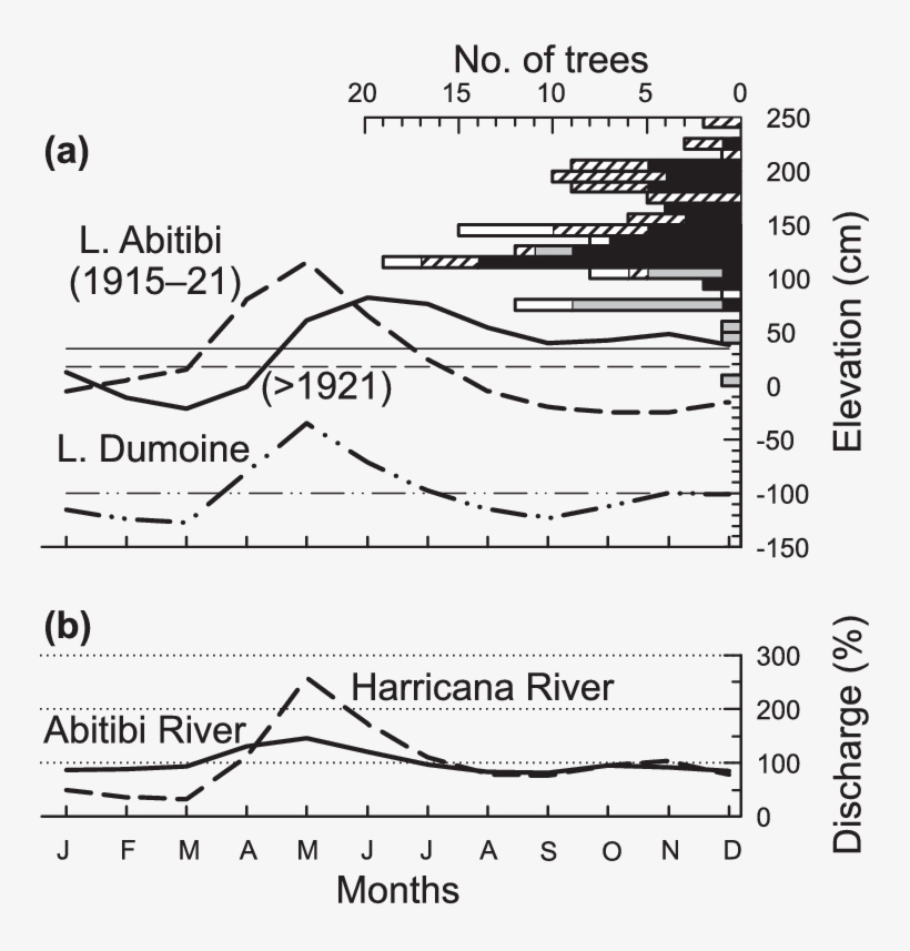 Horizontal Bars, Frequency Distribution Of Eastern - Diagram PNG Image ...
