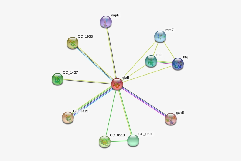 Circle PNG Image | Transparent PNG Free Download on SeekPNG