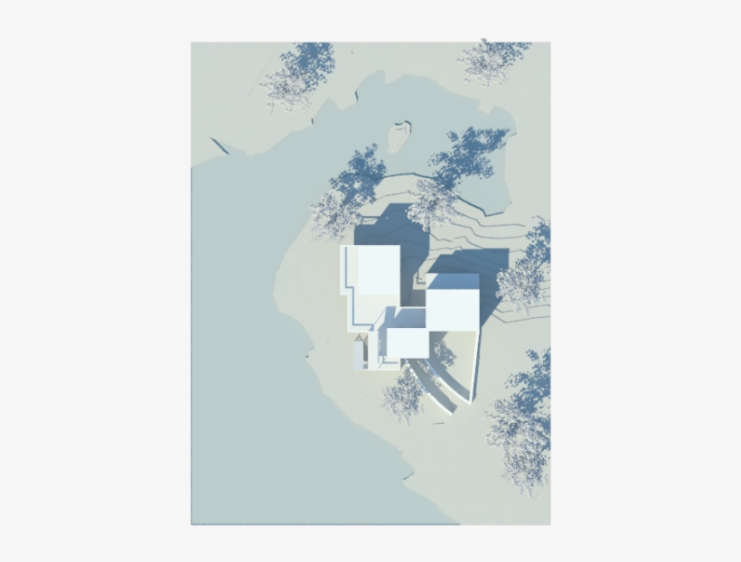 Top-view - Tree PNG Image | Transparent PNG Free Download on SeekPNG