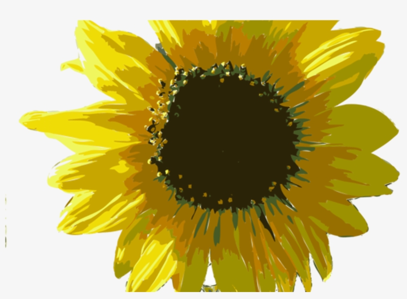 Clip Art PNG Image | Transparent PNG Free Download on SeekPNG