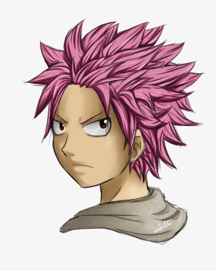 Natsu Dragneel - Cartoon PNG Image | Transparent PNG Free Download on ...