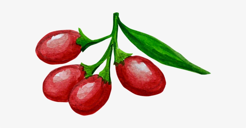 Goji Berries - Cherry PNG Image | Transparent PNG Free Download on SeekPNG
