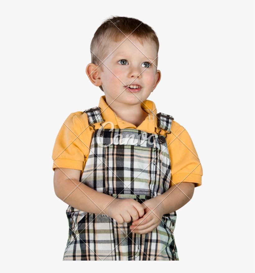 Shy Photos By Canva - Plaid PNG Image | Transparent PNG Free Download ...
