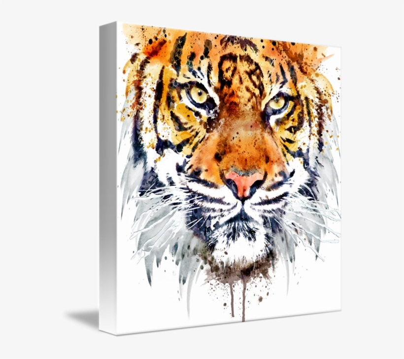"tiger Face Close-up" By Marian Voicu, Shown As A Medium - Tiger Face ...