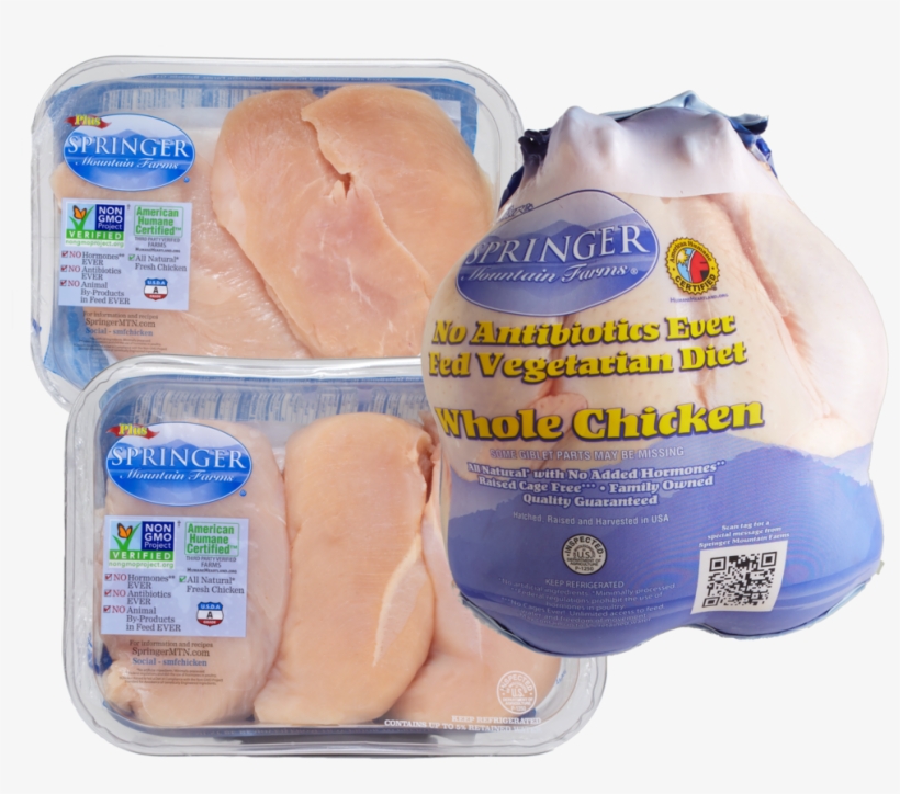 Sampler PNG Image | Transparent PNG Free Download on SeekPNG