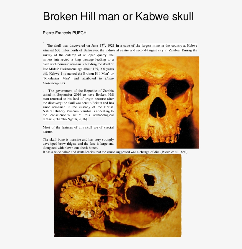 Pdf - Skull PNG Image | Transparent PNG Free Download on SeekPNG