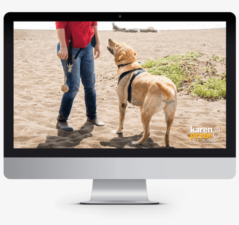 Image - Dicker Data Web Portal Customer PNG Image | Transparent PNG ...