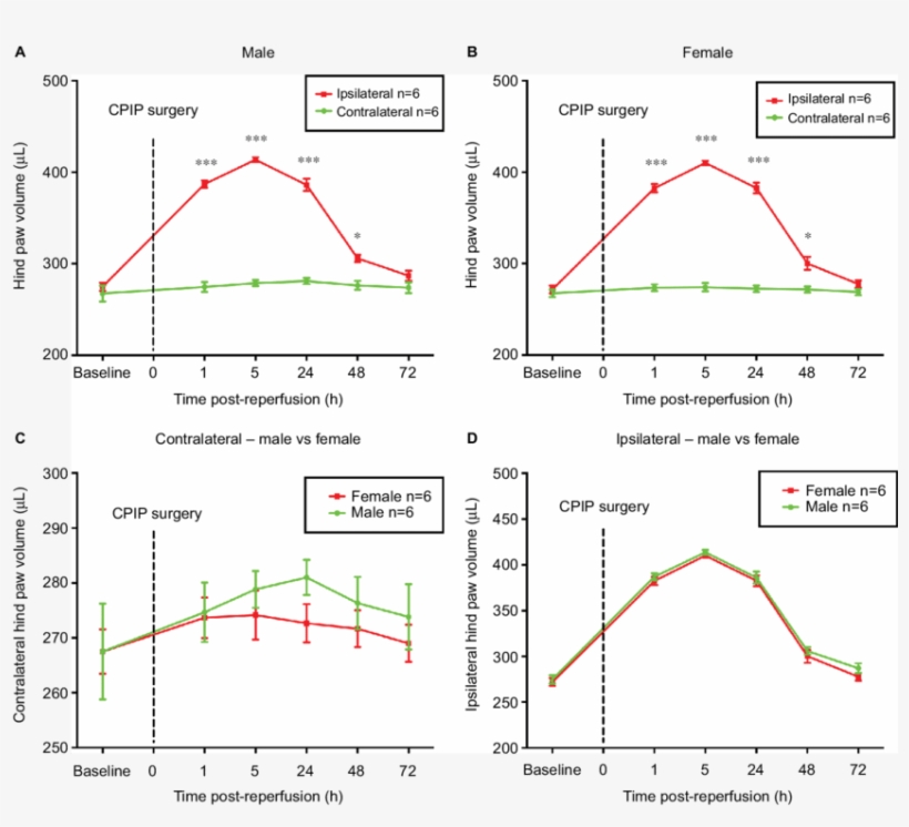 Hind Paw Volumes Of Male And Female Mice After Cpip - Diagram PNG Image ...