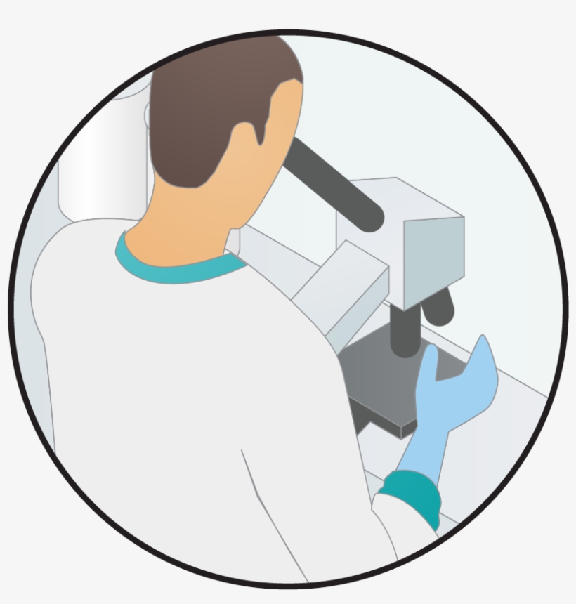 Svg Royalty Free Stock Laboratory Investigation Frames - Illustration ...