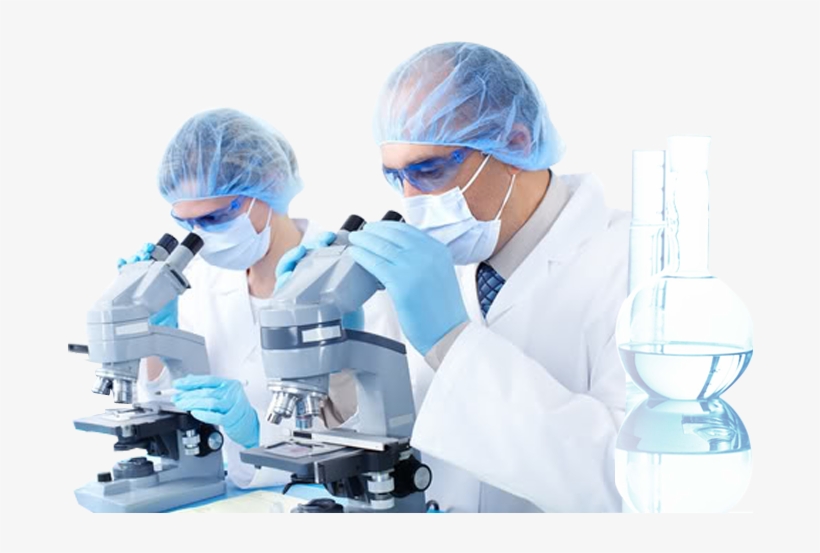 Banner-pic017 - Lab Banner PNG Image | Transparent PNG Free Download on ...