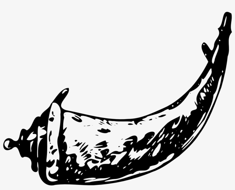 Sqlalchemy Orm Vs PNG Image | Transparent PNG Free Download on SeekPNG