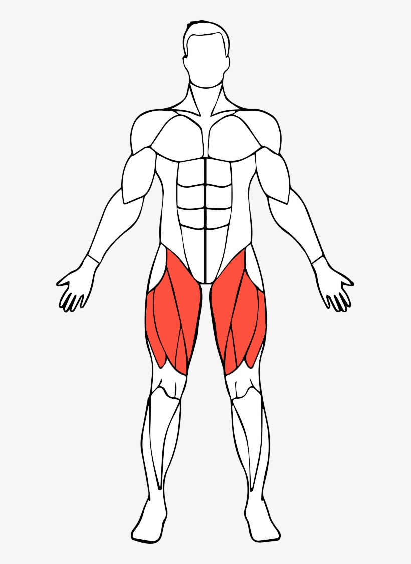 Quads - Illustration PNG Image | Transparent PNG Free Download on SeekPNG