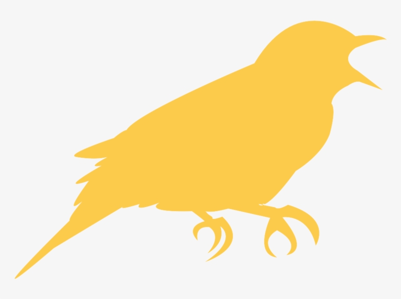 Sweet Songbird PNG Image | Transparent PNG Free Download on SeekPNG