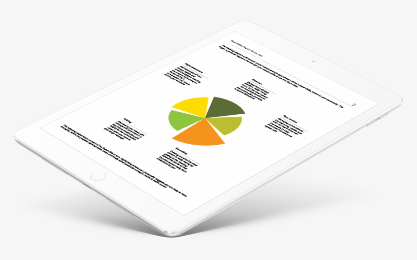 Facet5 Superskills™ Sample Report - Gadget PNG Image | Transparent PNG ...