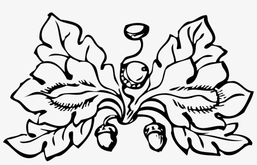 Drawn Foliage Oak Tree - Fall Clip Art Black And White Free PNG Image ...
