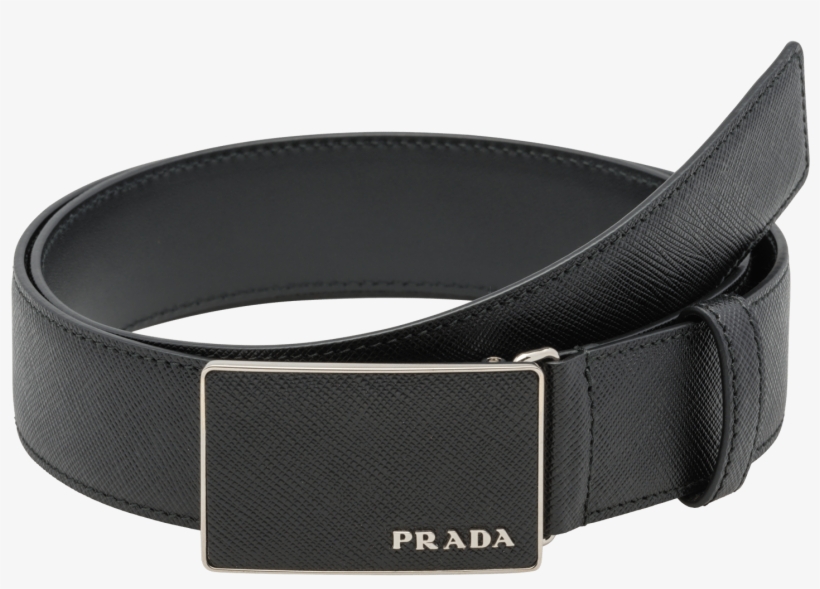 Belt PNG Image | Transparent PNG Free Download on SeekPNG