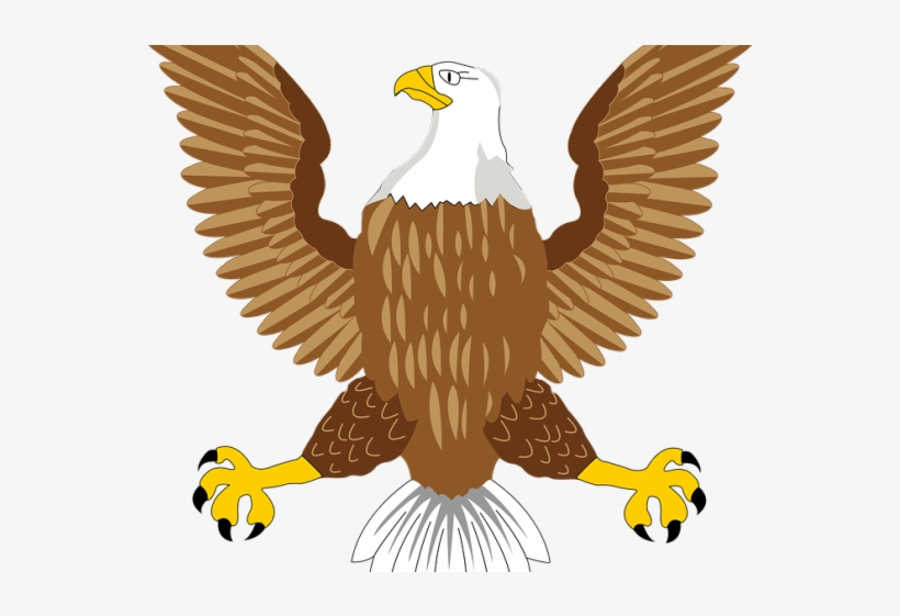 Golden Eagle Clipart Dead Eagle - Native American Eagle Bustle PNG ...