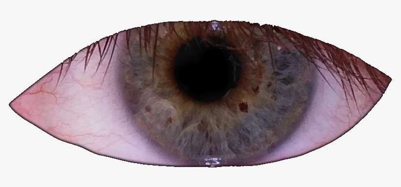Eyes Png Transparent