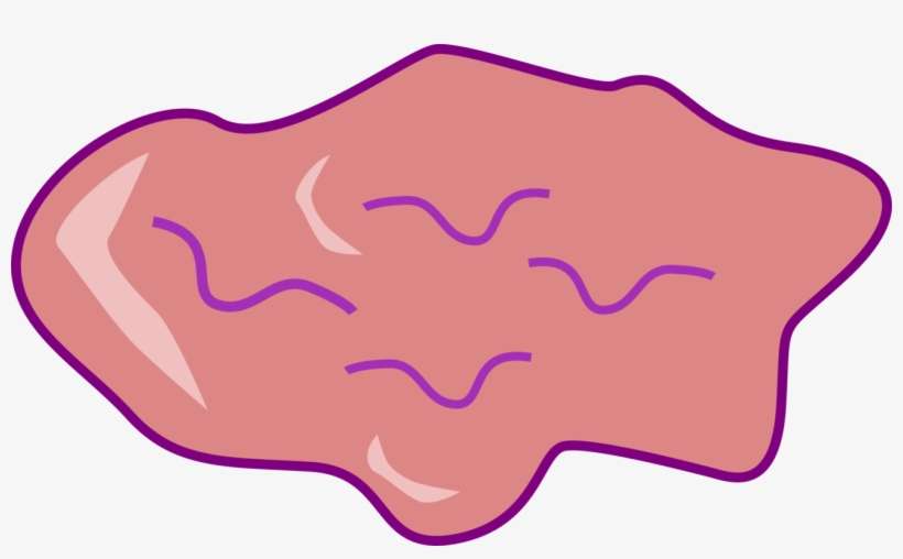 Chewing Gum Computer Icons Chewels Download PNG Image | Transparent PNG ...