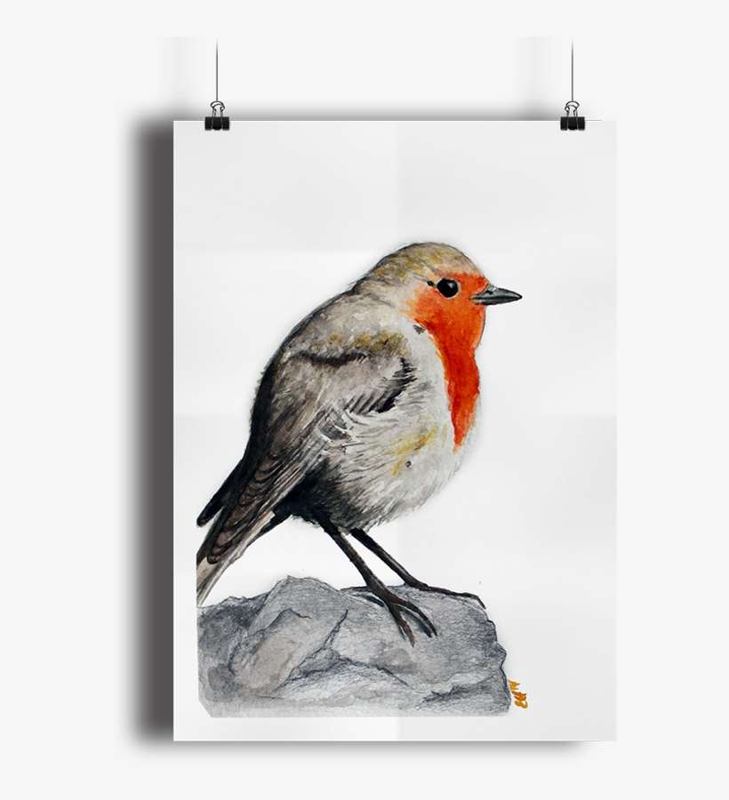 Watercolor Paintings - - European Robin PNG Image | Transparent PNG ...