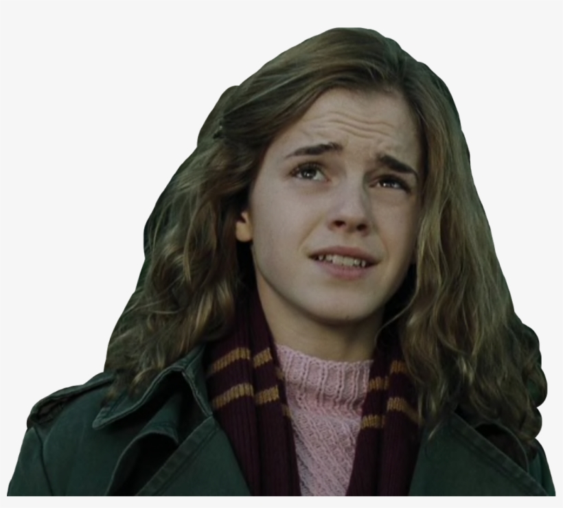 Hermione Sticker PNG Image | Transparent PNG Free Download on SeekPNG